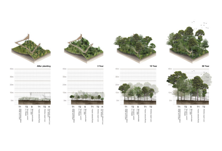PTT Metro Forest | LANDSCAPE COLLABORATION