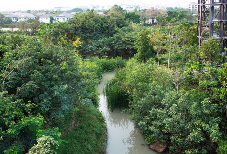 PTT Metro Forest | LANDSCAPE COLLABORATION