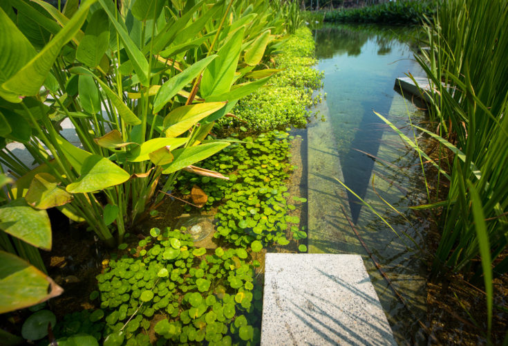 SCG | LANDSCAPE COLLABORATION