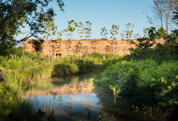 PTT Metro Forest | LANDSCAPE COLLABORATION
